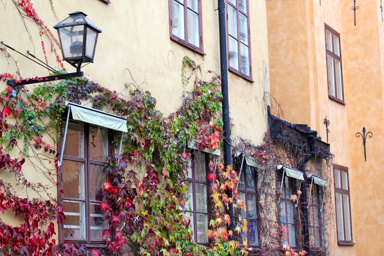 Europe by the season: Where to go in Autumn - World of Wanderlust