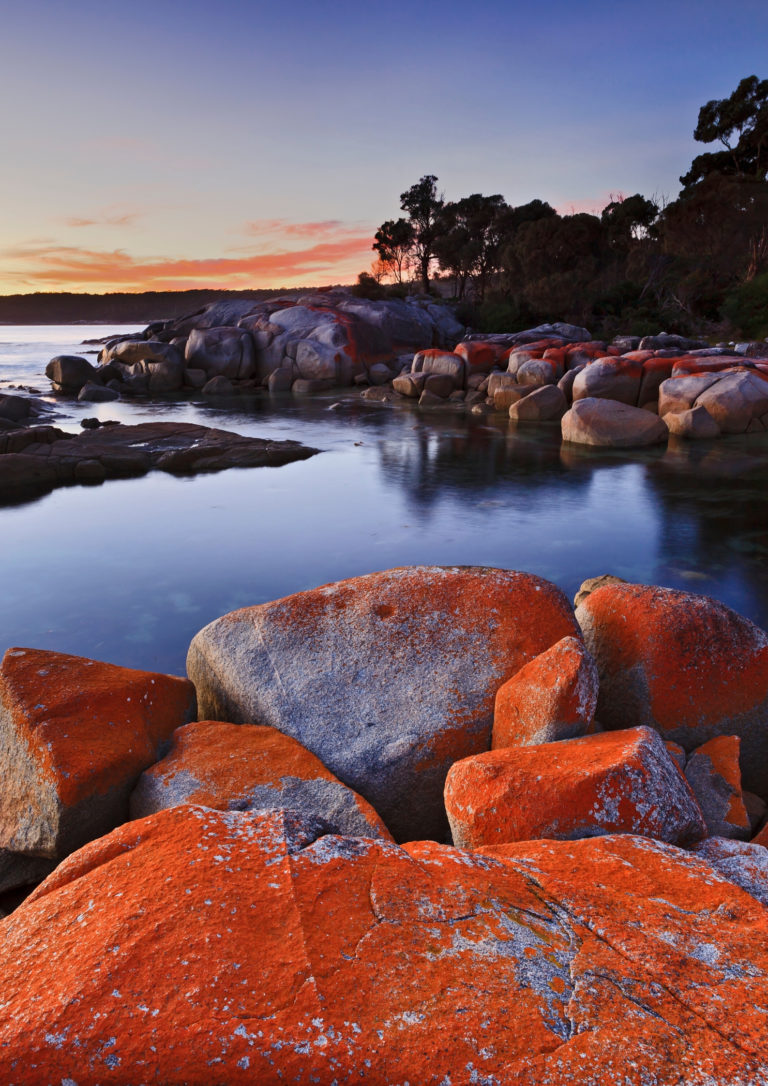 The Ultimate Tasmanian Road Trip - World of Wanderlust