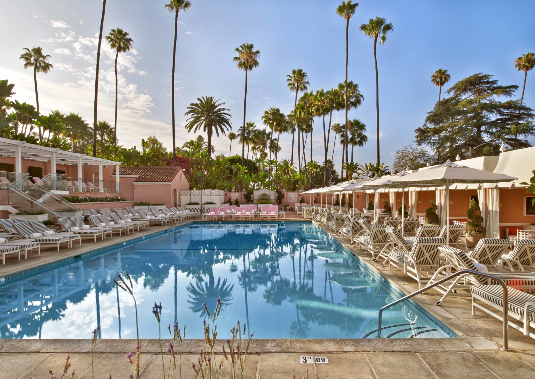 Checking In: The Beverly Hills Hotel - World of Wanderlust