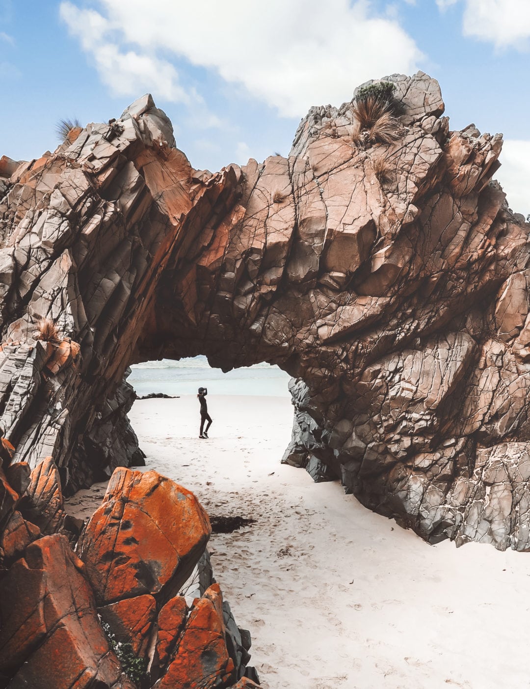 12 Reasons to Visit Tasmania - World of Wanderlust